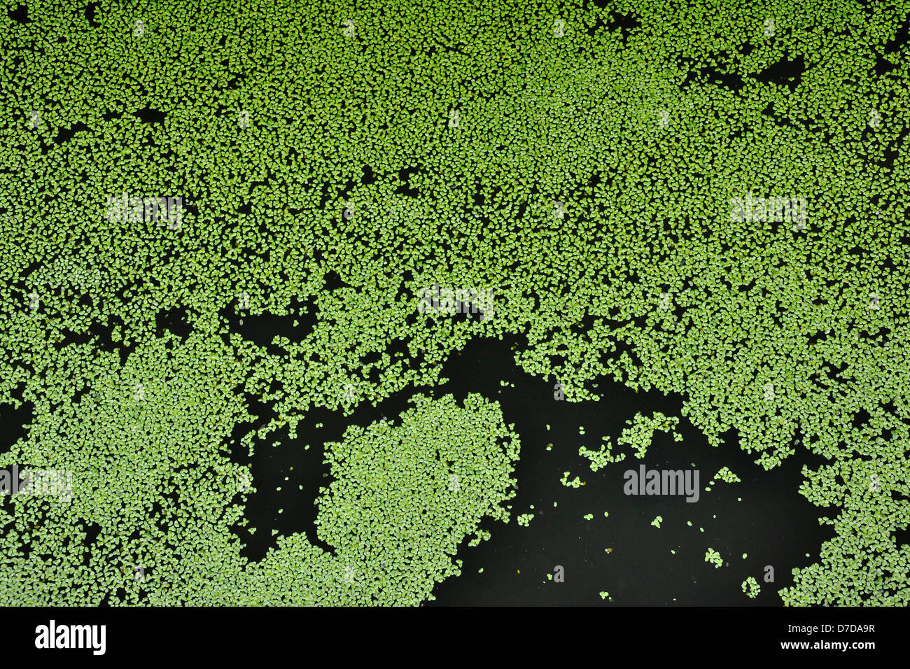 China granary hi-res stock photography and images - Alamy