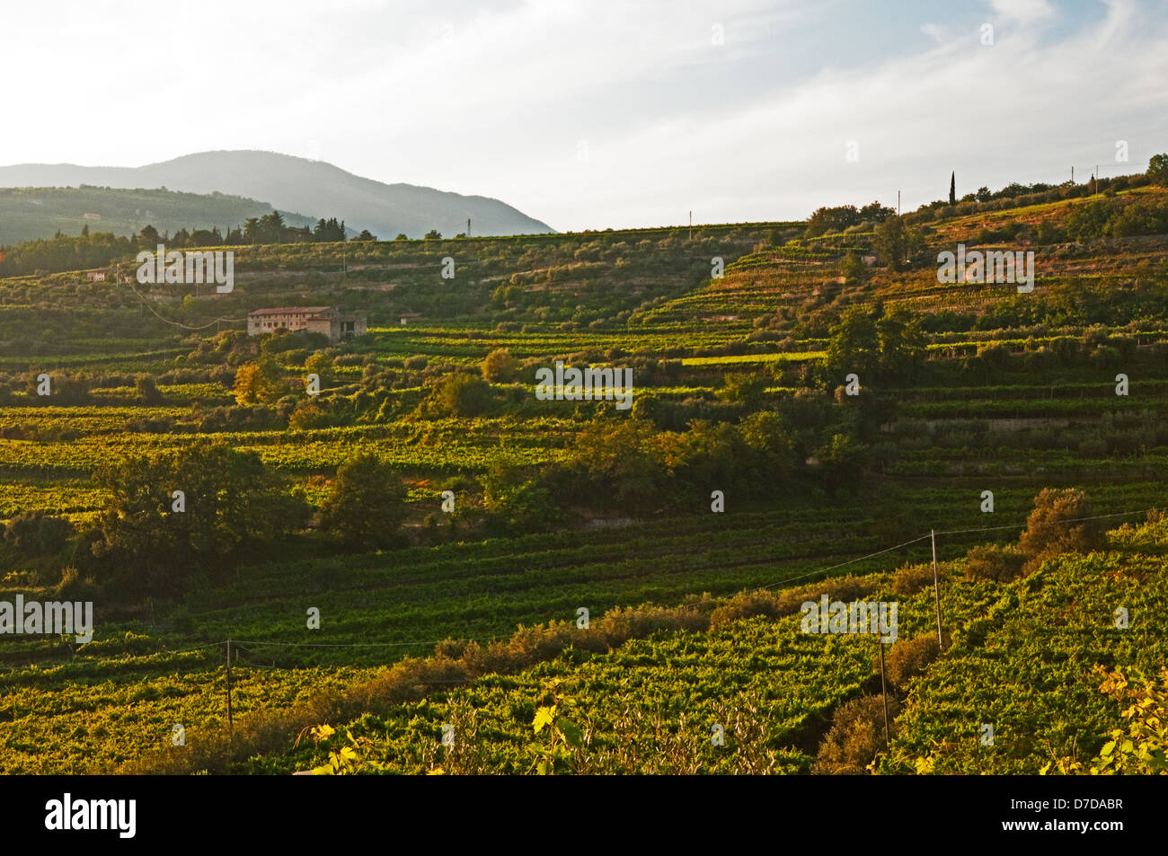 View of the hills of Fumane, Italy, evening Stock Photo - Alamy