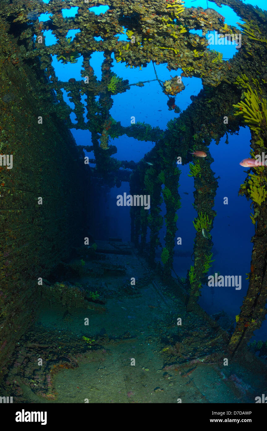 Brioni Steamboat Wreck, Vis, Adriatic Sea, Croatia Stock Photo - Alamy