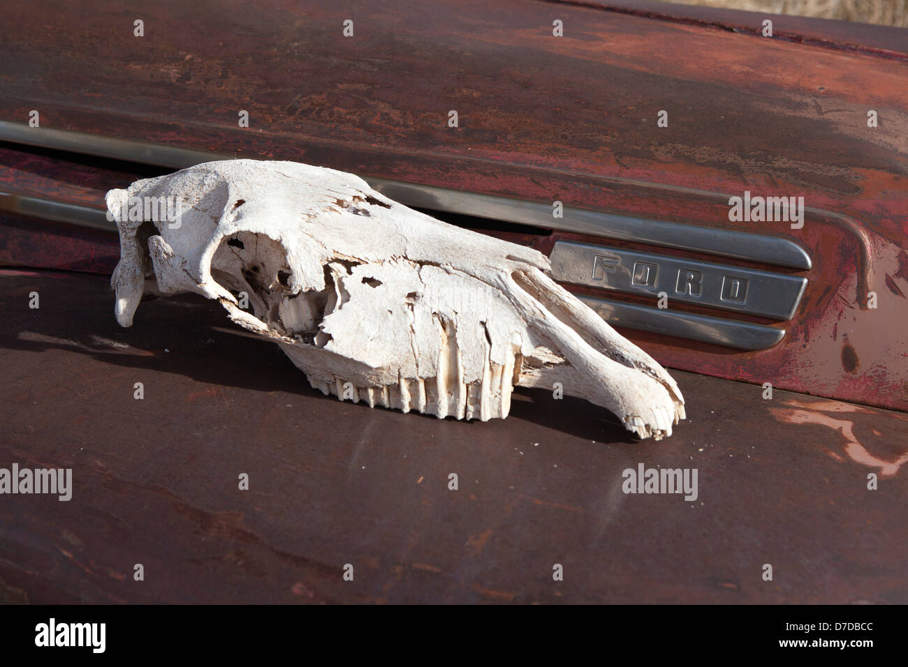 Ford dead hi-res stock photography and images - Alamy
