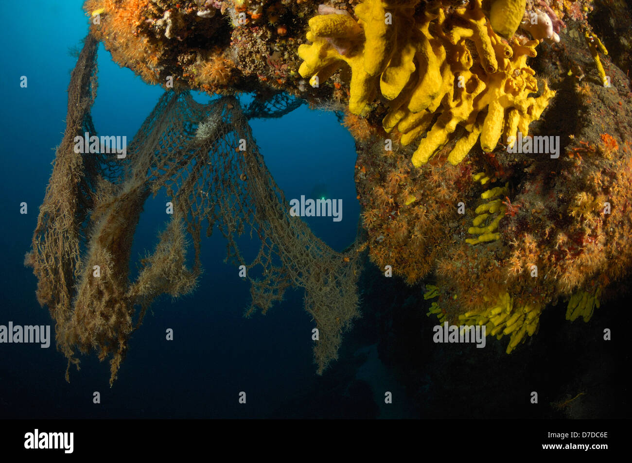 Coral reef on sea hi-res stock photography and images - Alamy