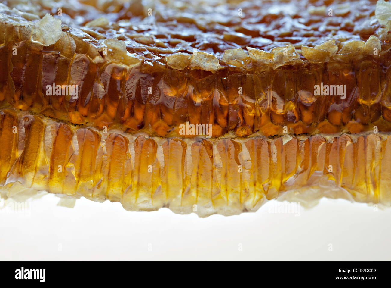 Comb structure hi-res stock photography and images - Alamy