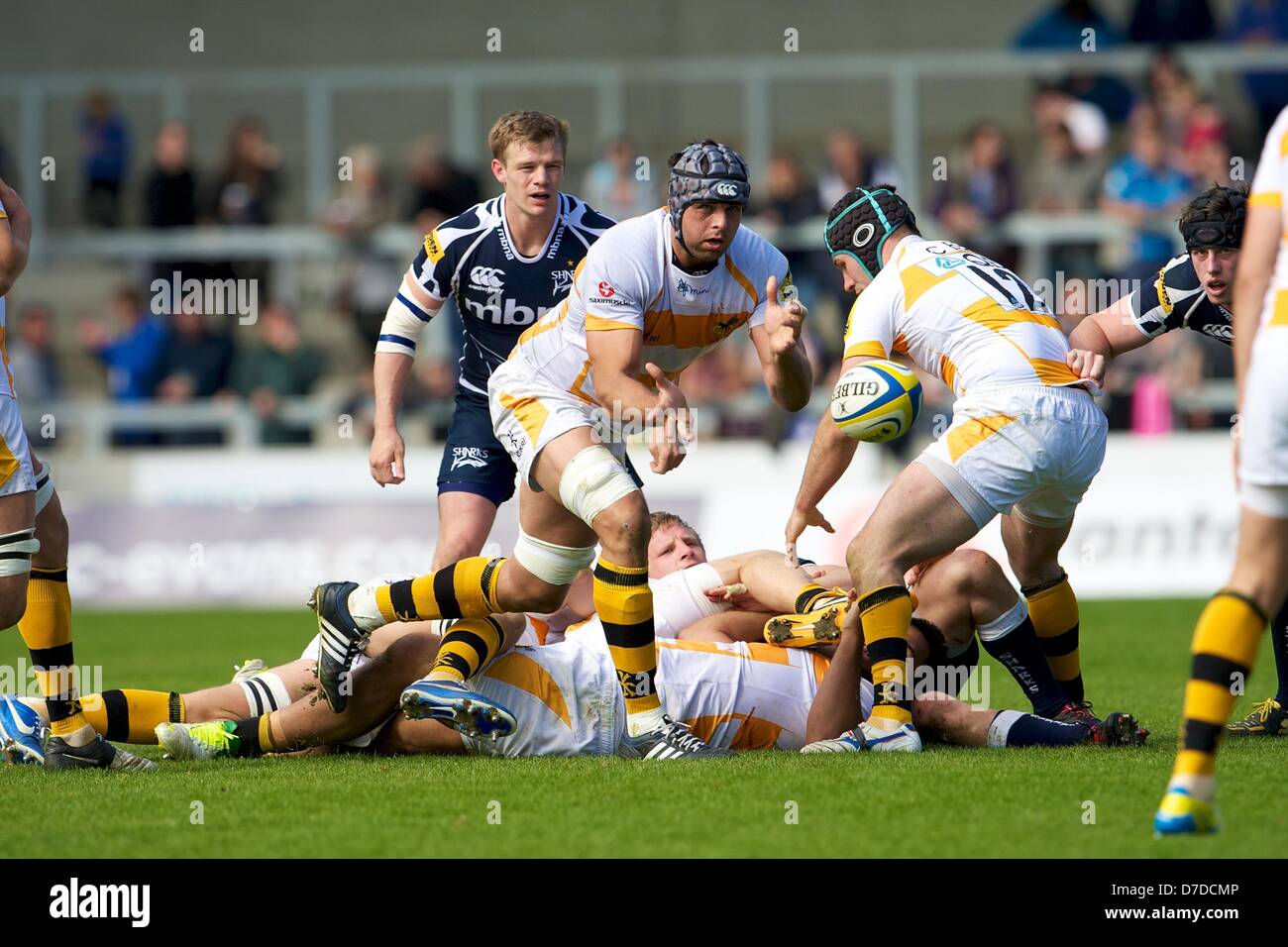 Wasps rugby stadium hi-res stock photography and images - Alamy
