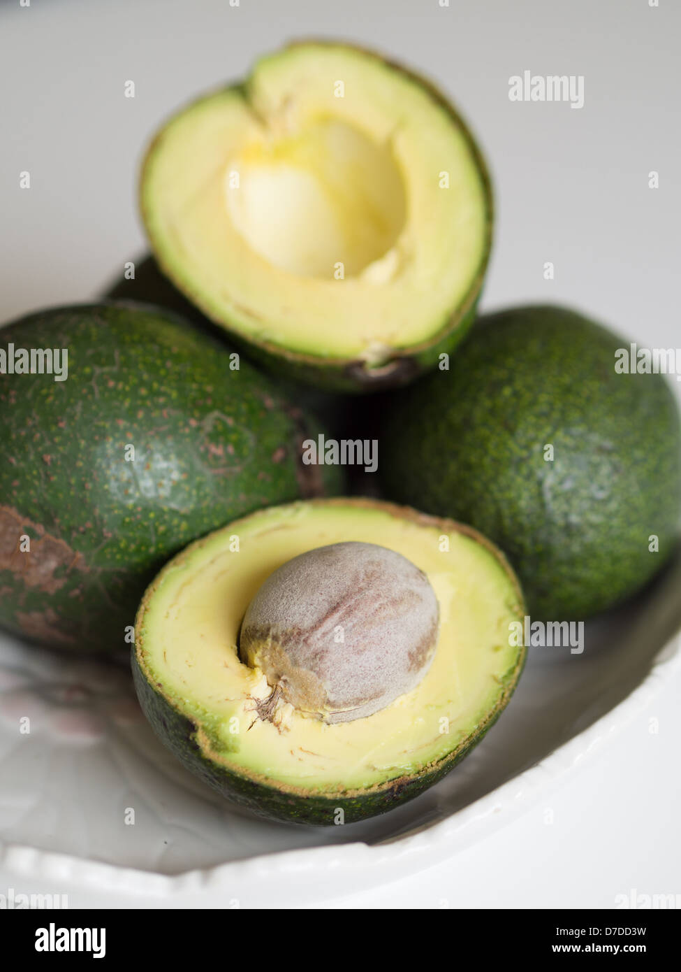 Avocado (Persea americana Stock Photo - Alamy