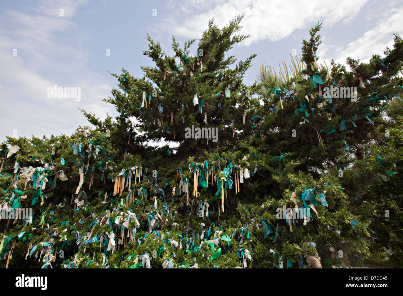 Votive wish tree hi-res stock photography and images - Alamy