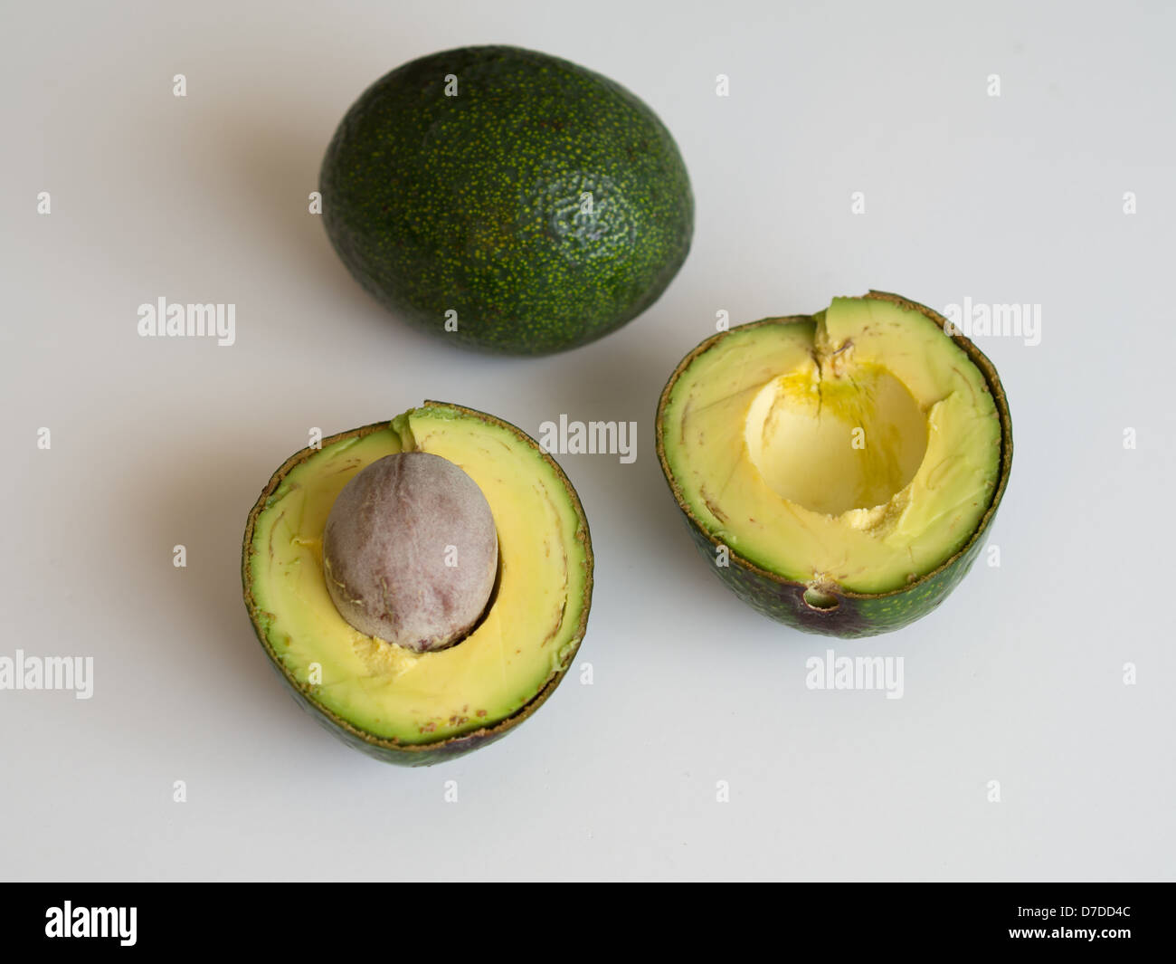 Avocado persea americana hi-res stock photography and images - Alamy