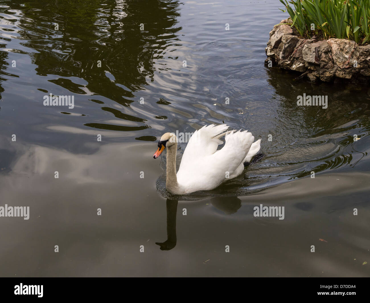 Swan river aerial hi-res stock photography and images - Alamy