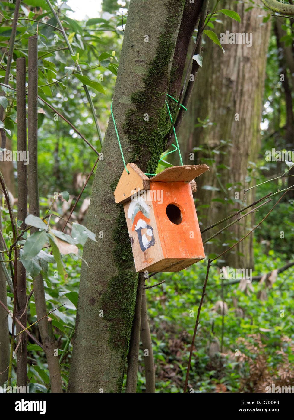Orange bird house in tree Stock Photo - Alamy