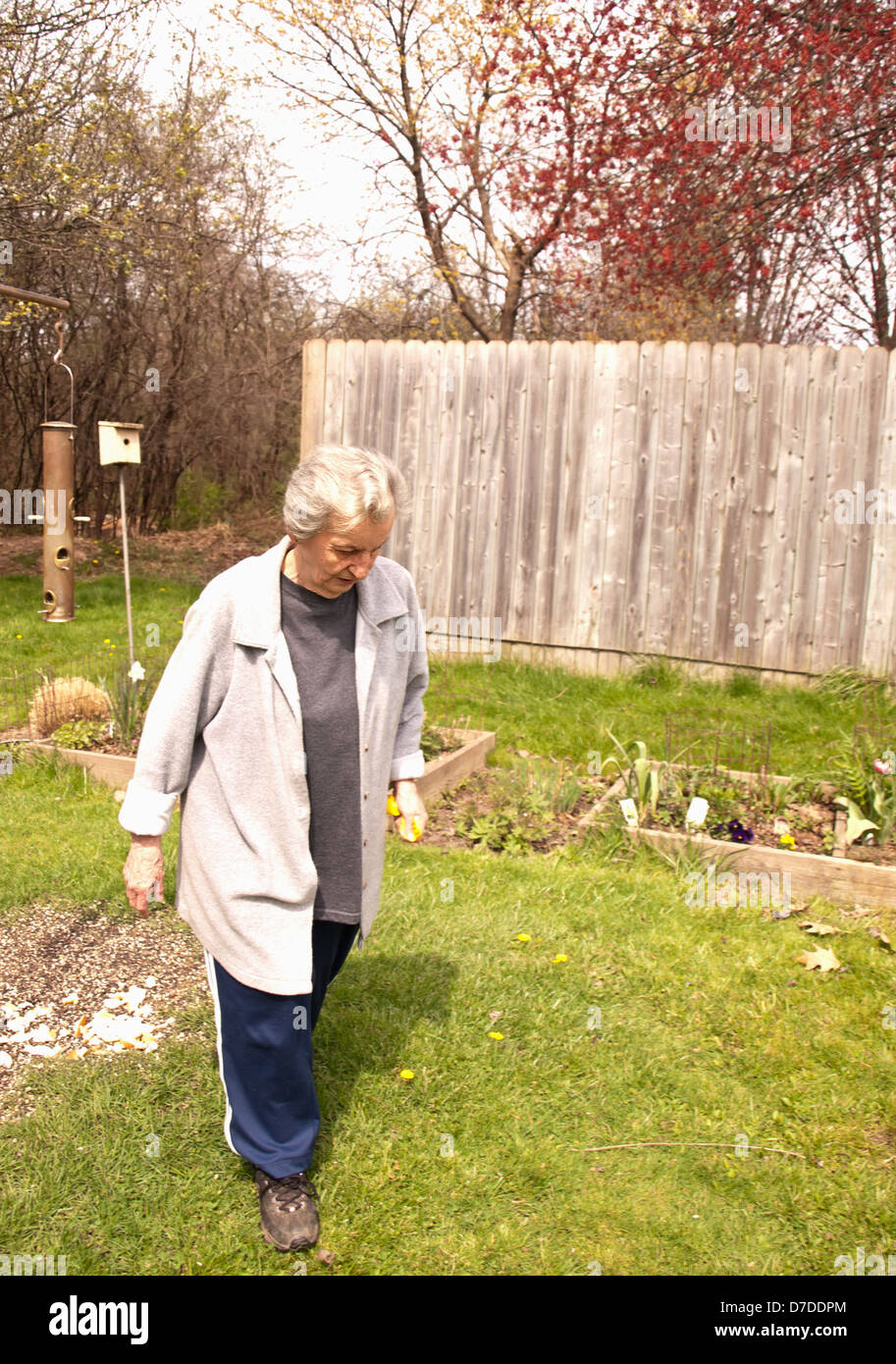 senior woman looking over her lawn Stock Photo - Alamy