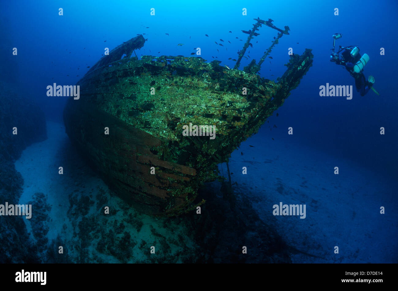 Wrecks coral reef diver hi-res stock photography and images - Alamy