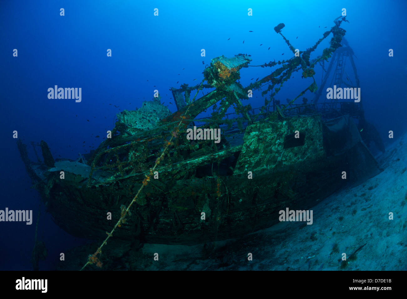 Vassilios Wreck, Vis, Adriatic Sea, Croatia Stock Photo - Alamy