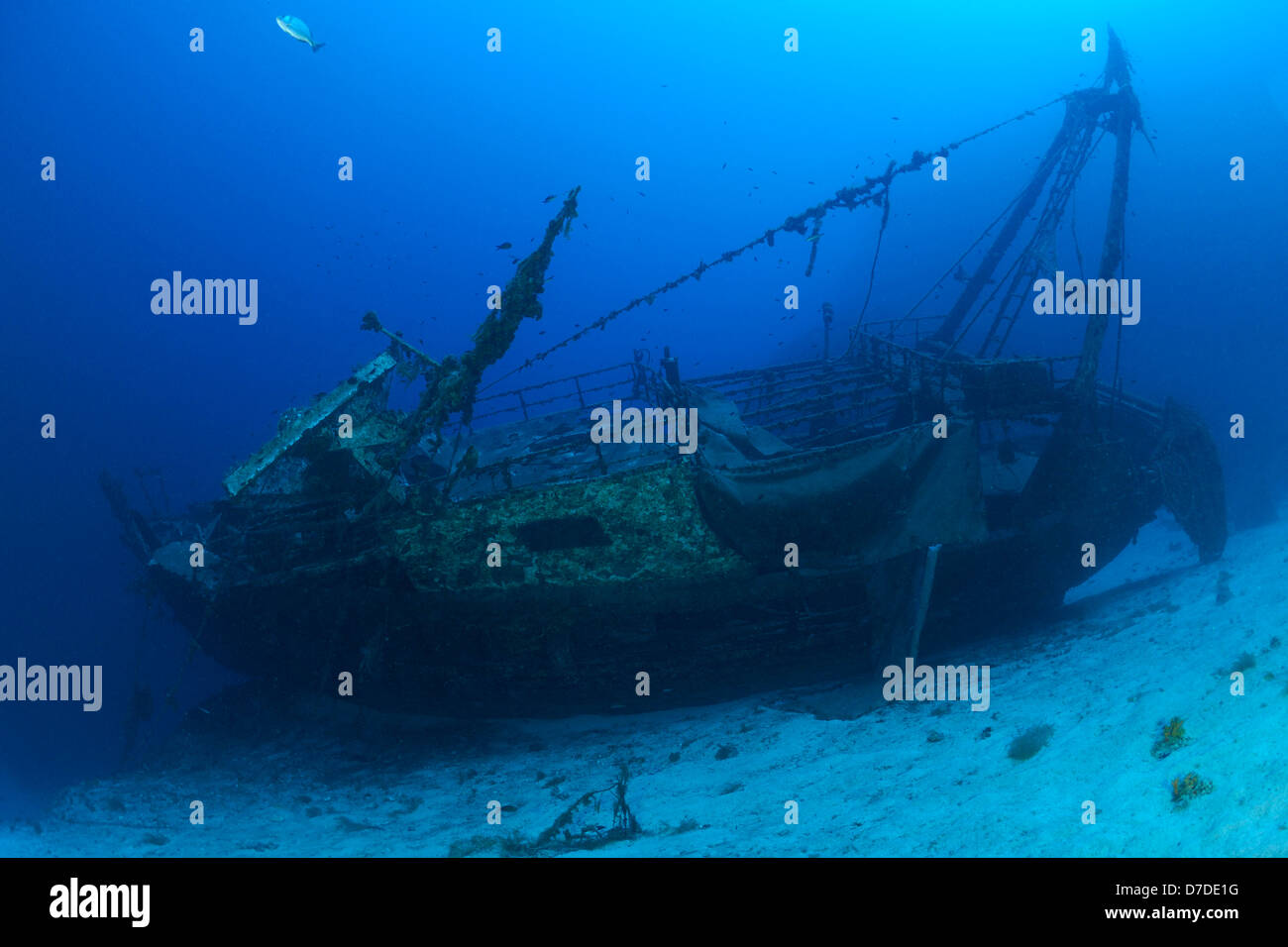 Vassilios Wreck, Vis, Adriatic Sea, Croatia Stock Photo - Alamy