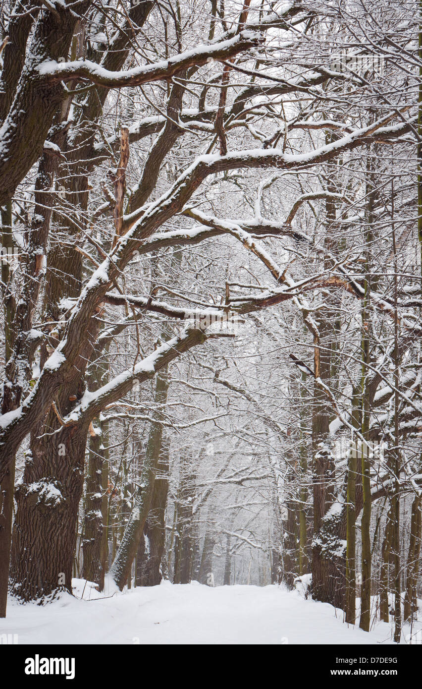 Sukhanovo estate. Monument of Russian classicism Stock Photo - Alamy