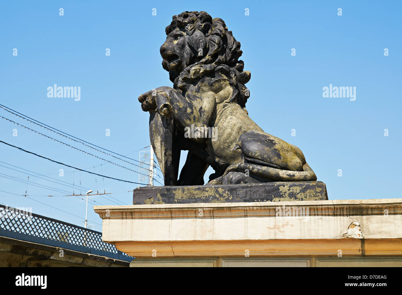 Lion statue in Kaliningrad. Russia Stock Photo - Alamy