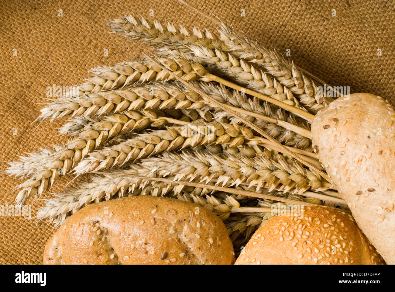 Wheat biscuit cereal hi-res stock photography and images - Alamy