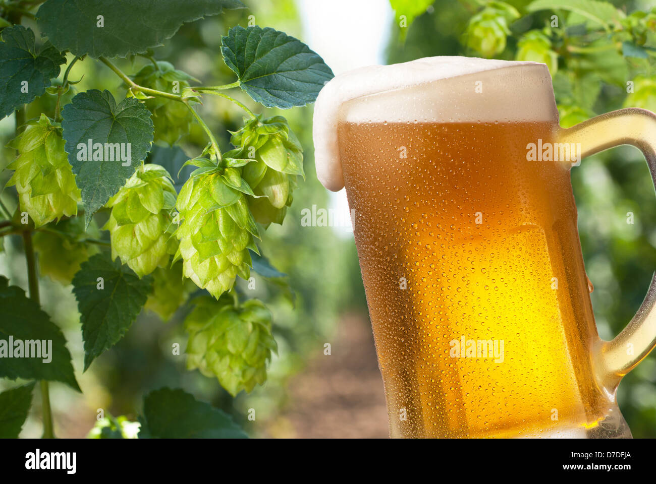 Berr hi-res stock photography and images - Alamy