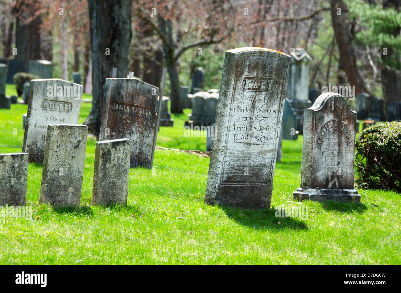 Bright green grass springs up around antique gravestones in an old ...