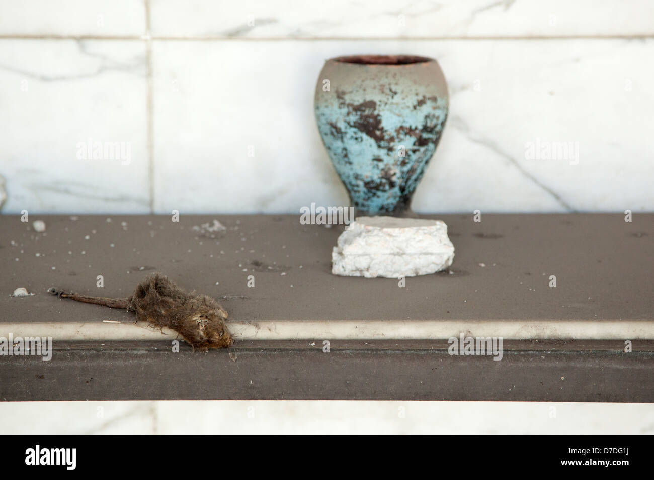 Dead rat with urn at Cemetery Necropolis de Colon Stock Photo - Alamy