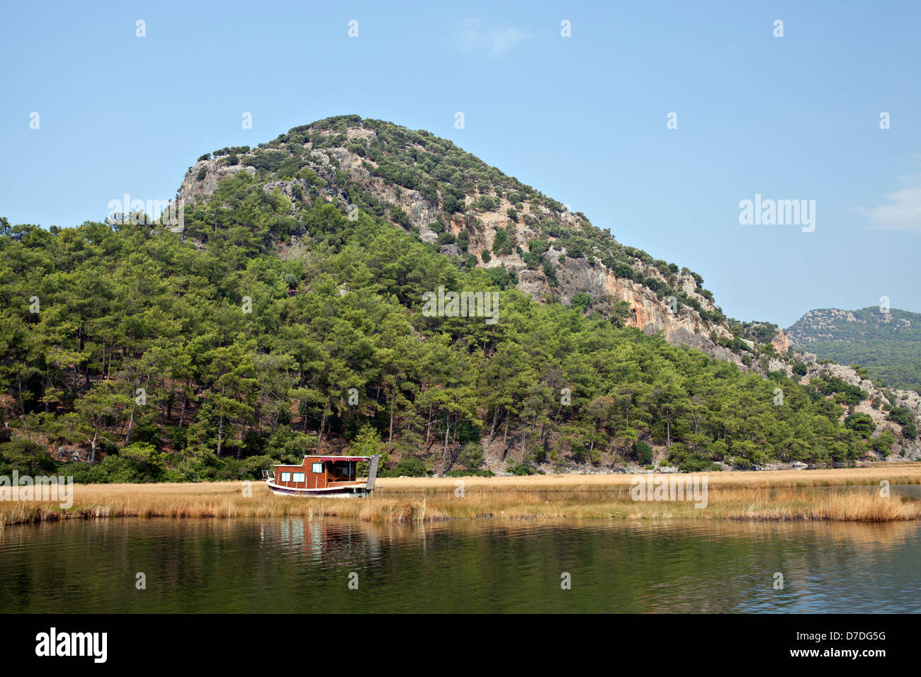 Reeds boat hi-res stock photography and images - Alamy