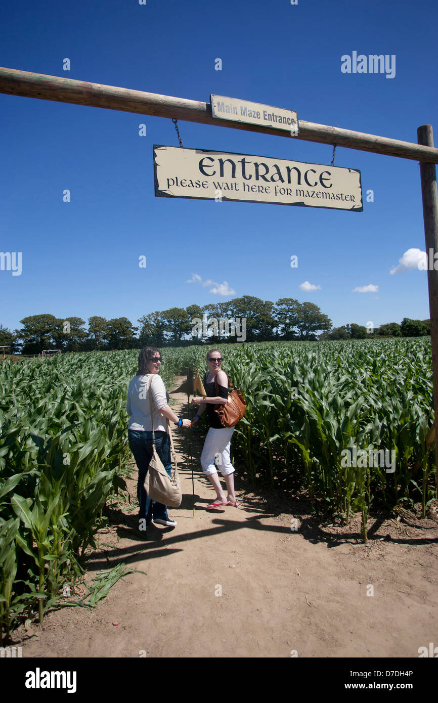 Main Maze entrance to the amazing maze on Jersey Please wait for the ...