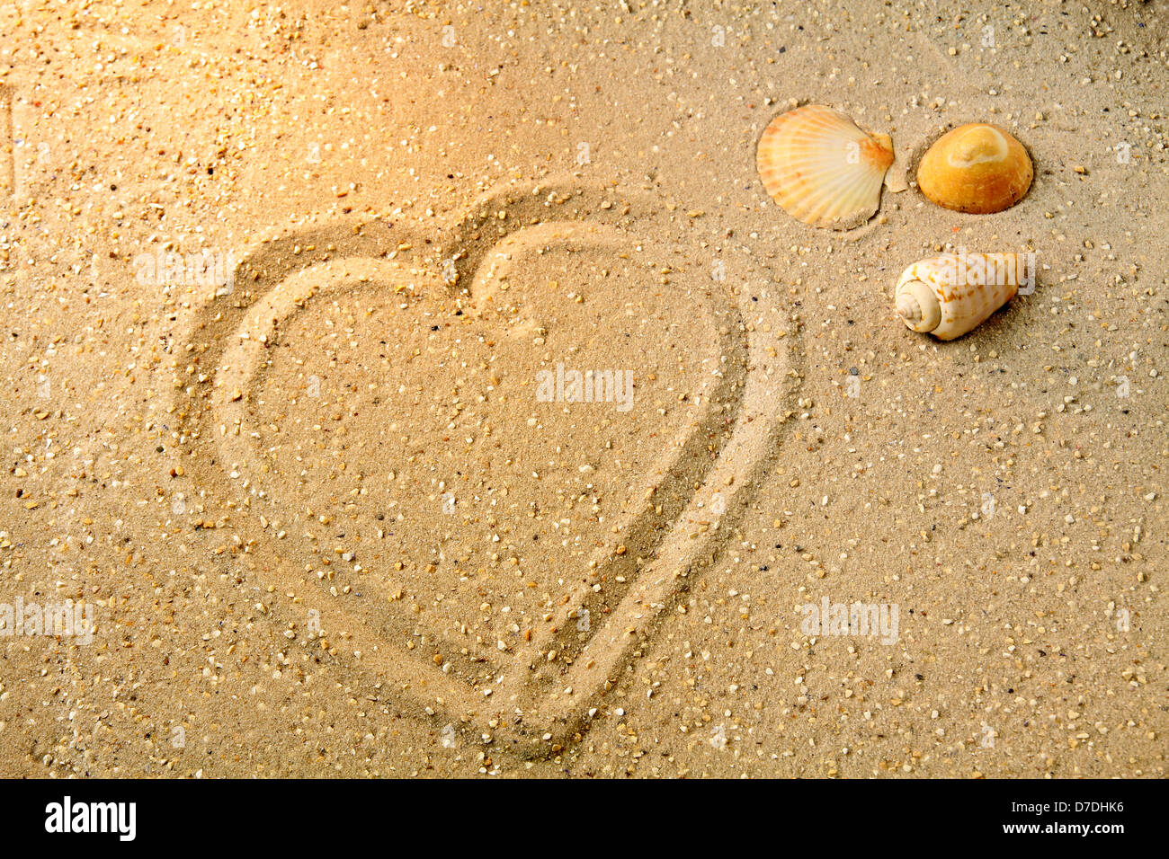 Heart shaped shells hi-res stock photography and images - Alamy