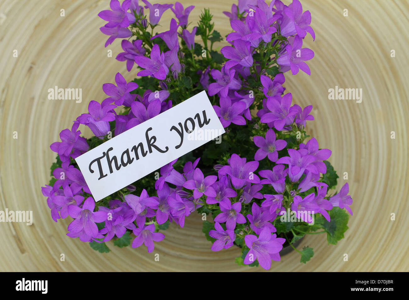 Bouquet of flowers thank you note hi-res stock photography and images ...