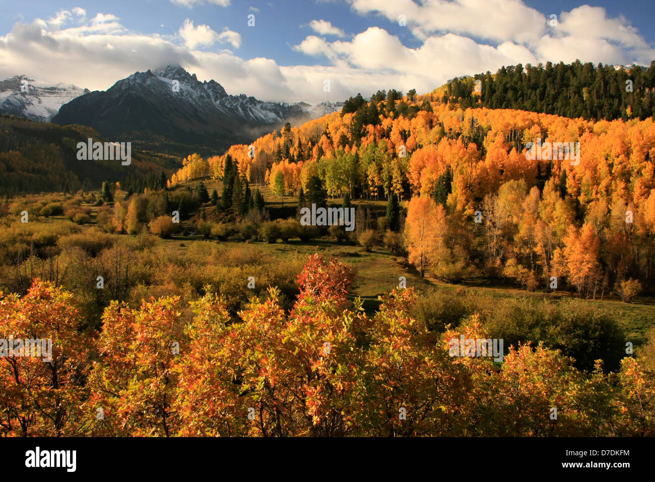 Mount Sneffels Wilderness High Resolution Stock Photography and Images ...