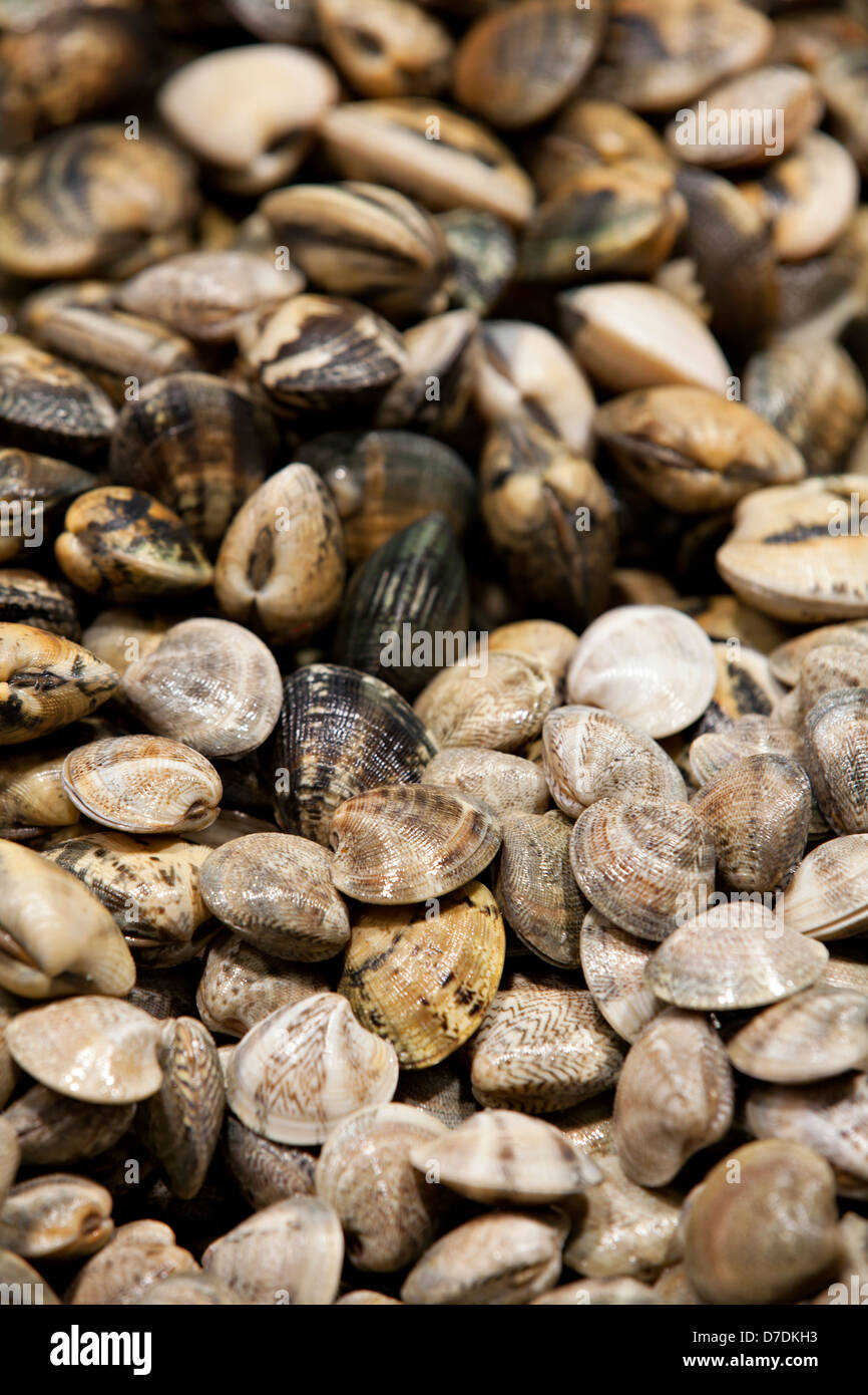 Shellfishes at the market, Barcelona, Spain Stock Photo - Alamy