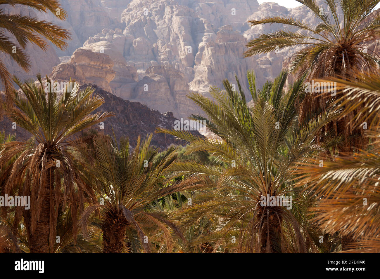 Kudra hi-res stock photography and images - Alamy