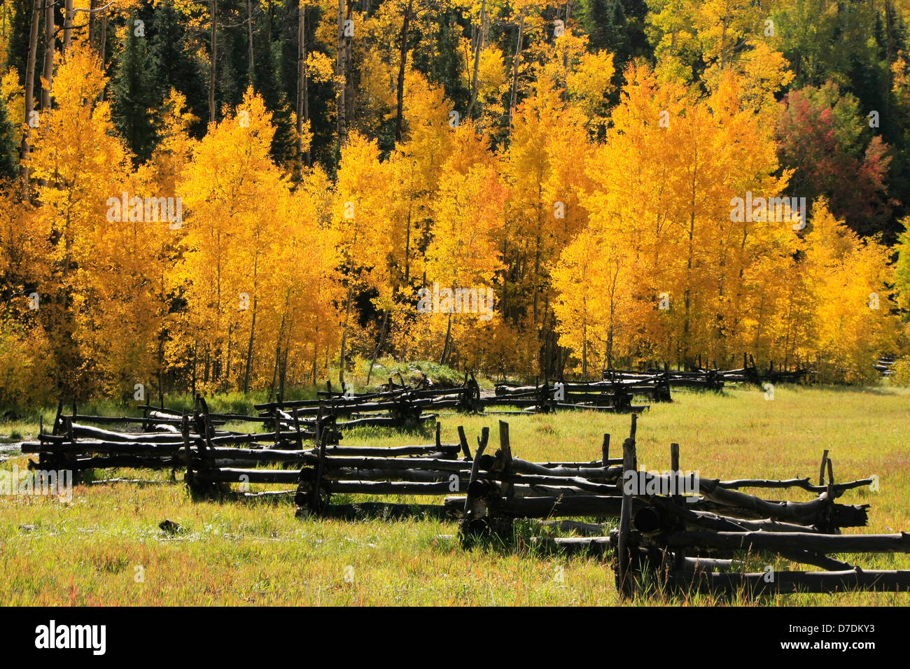 Colorado color hi-res stock photography and images - Alamy