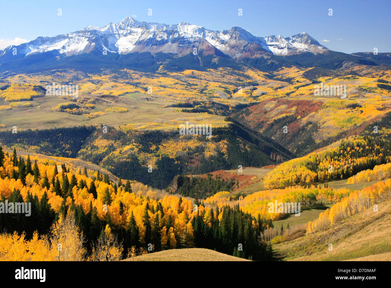 Lizard Head Wilderness, Colorado, USA Stock Photo - Alamy