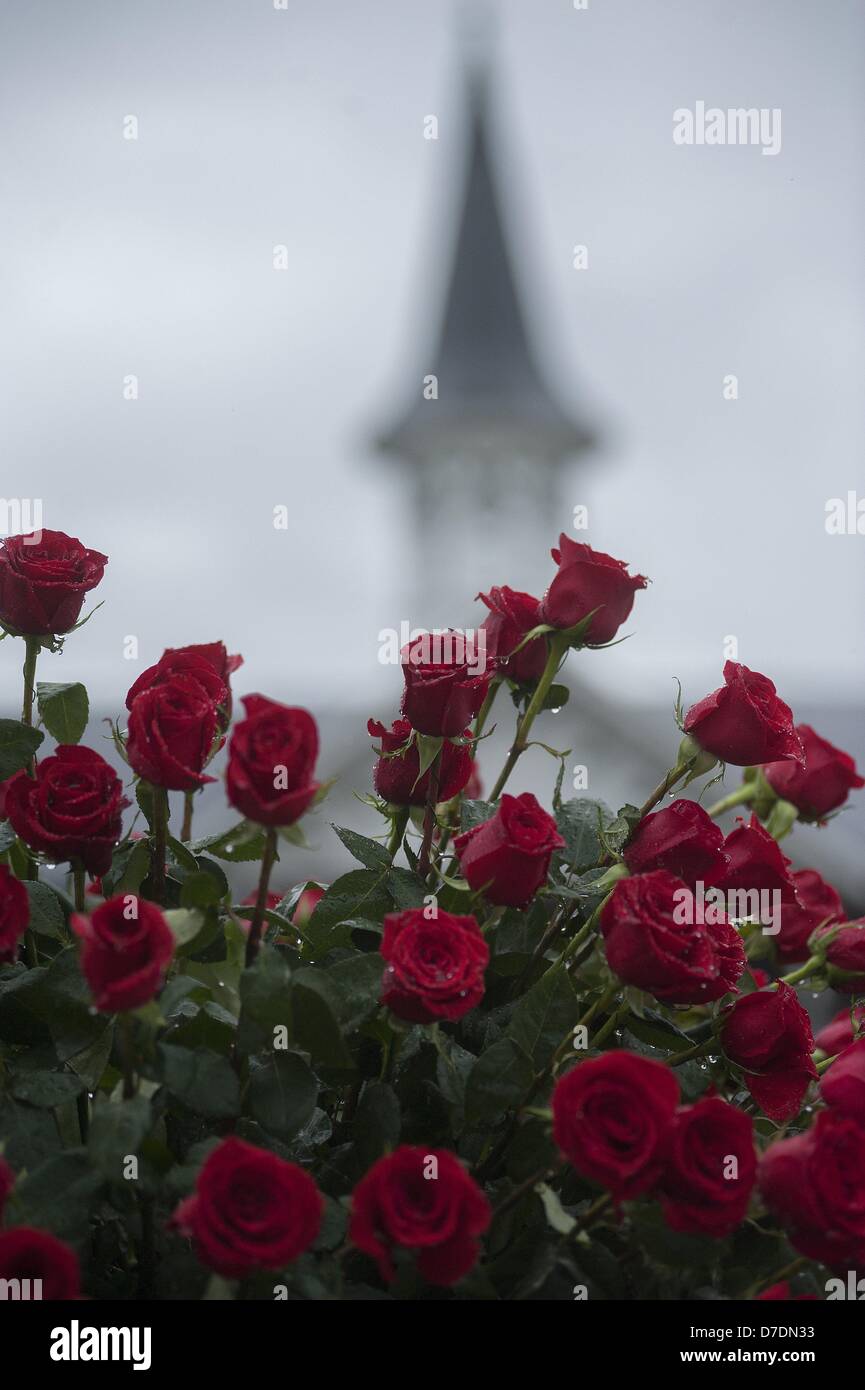 Kentucky derby roses hi-res stock photography and images - Alamy