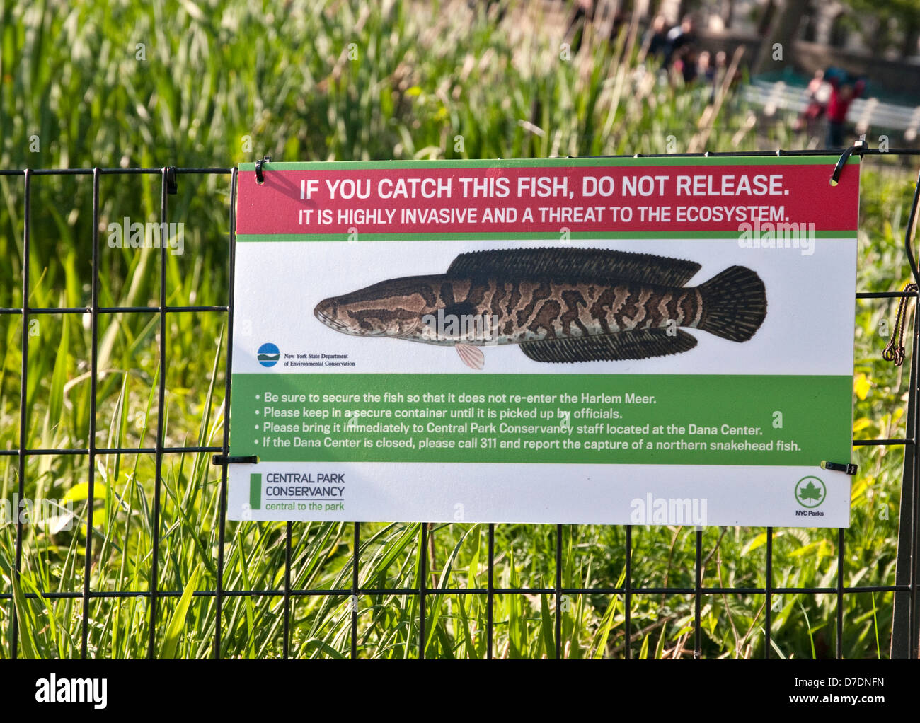 Sign in Central Park, NY alerting people to the presence of the ...