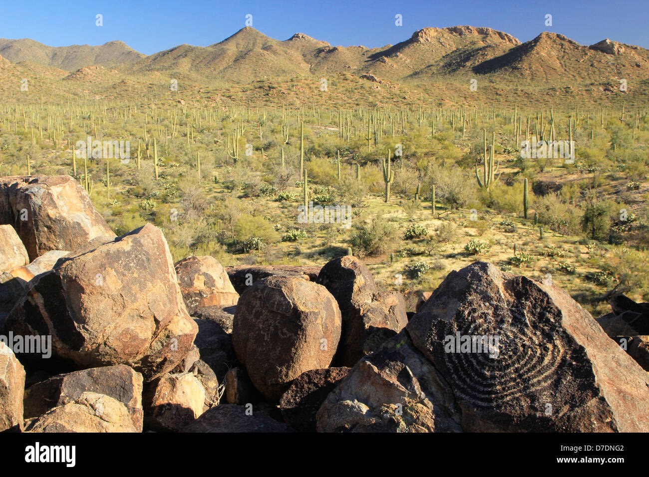 Petroglyphs of signal hill hi-res stock photography and images - Alamy