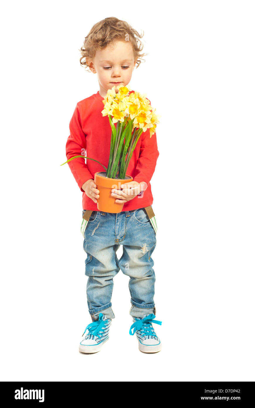 Toddler boy smelling flowers isolated on white background Stock Photo ...
