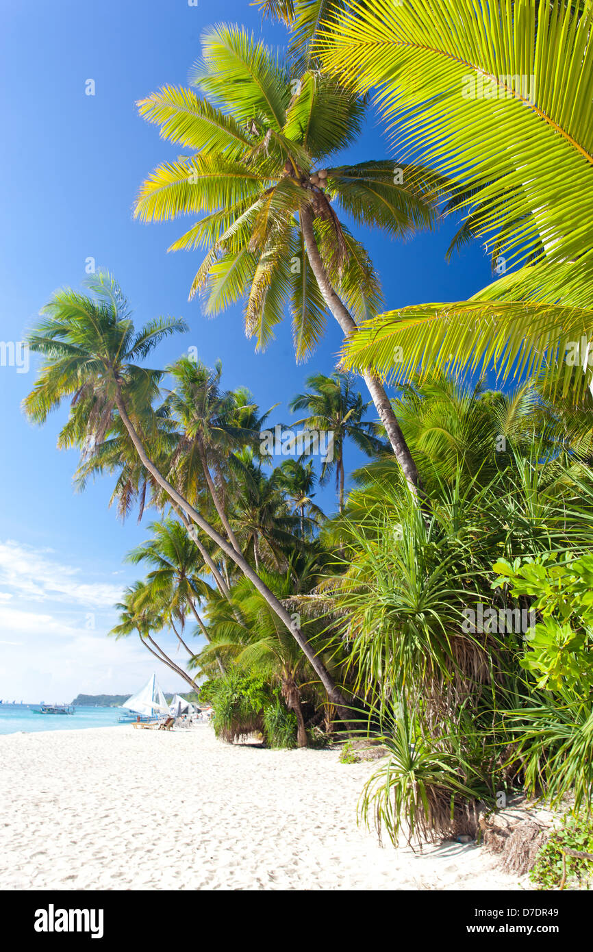 Idyllic tropical scene, Philippines Stock Photo - Alamy