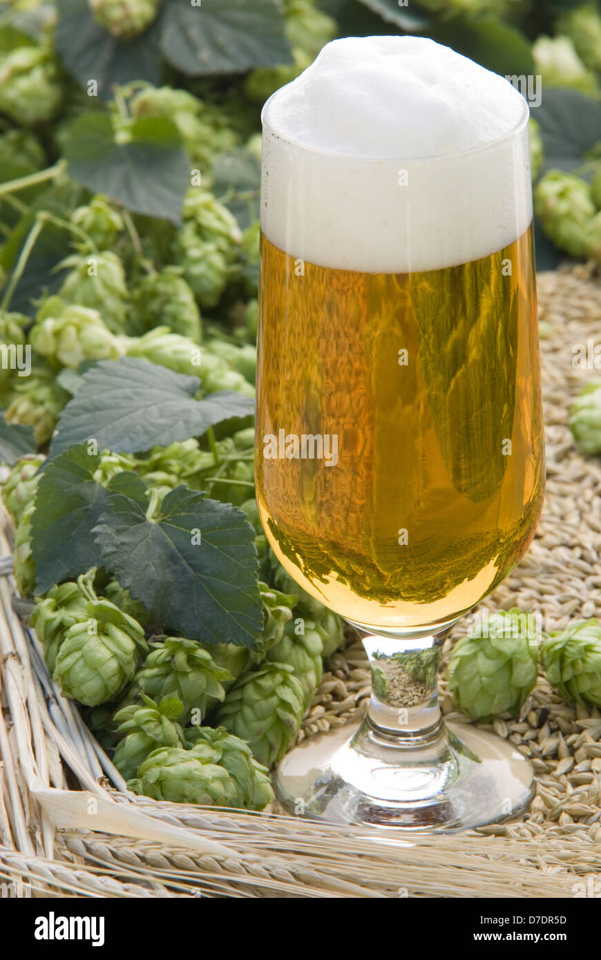 Beer cone hi-res stock photography and images - Alamy