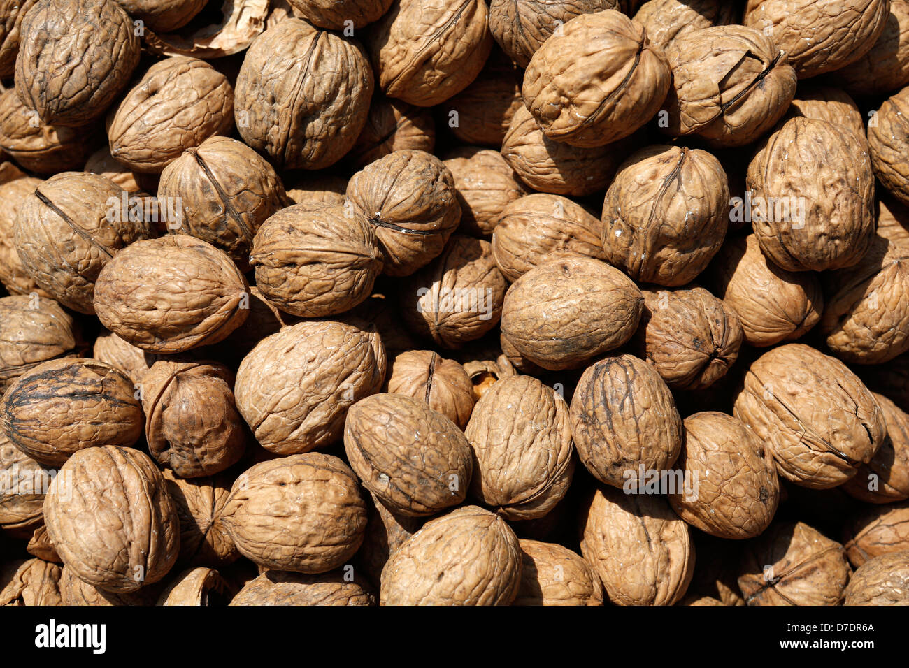 Hard shell fruit hi-res stock photography and images - Alamy