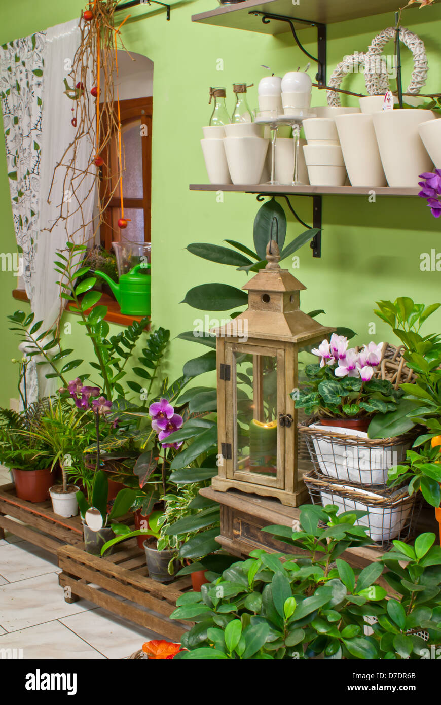 Shop store flower florist planter hi-res stock photography and images ...