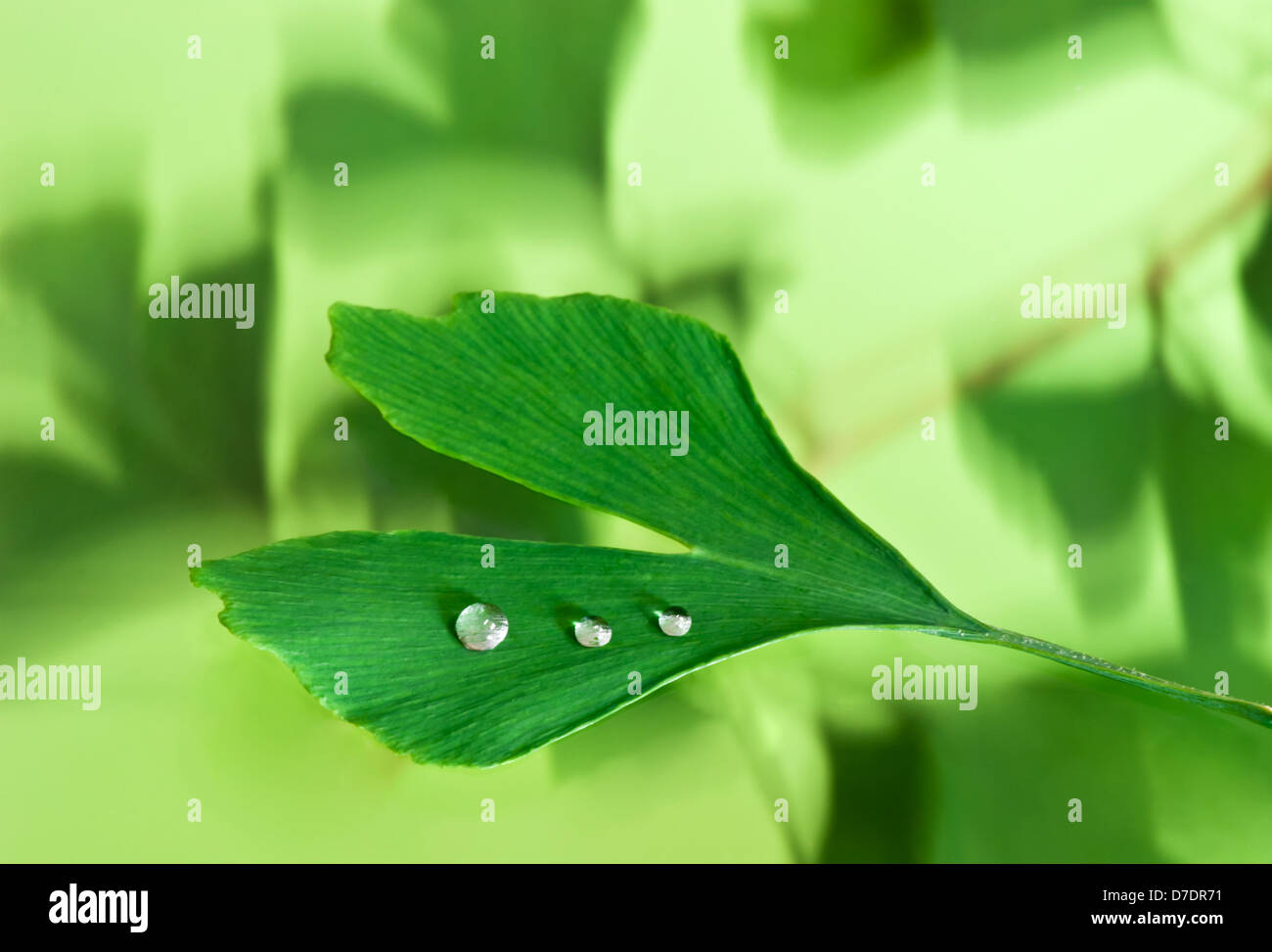 Healing blade hi-res stock photography and images - Alamy