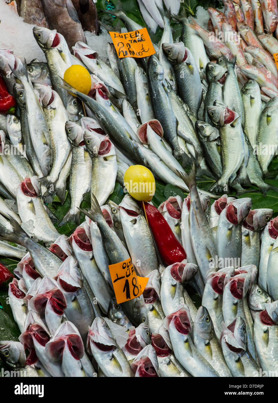 Macro view of bluefishes Stock Photo - Alamy