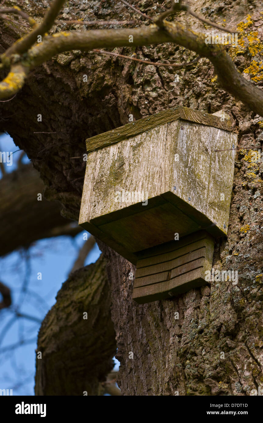 Bat boxes hi-res stock photography and images - Alamy
