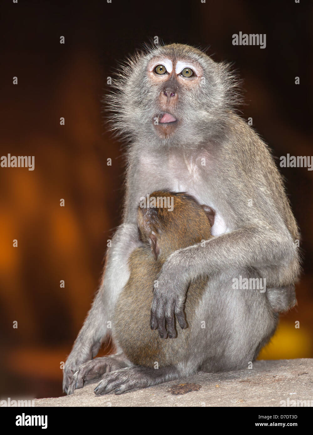 Bewildered face hi-res stock photography and images - Alamy