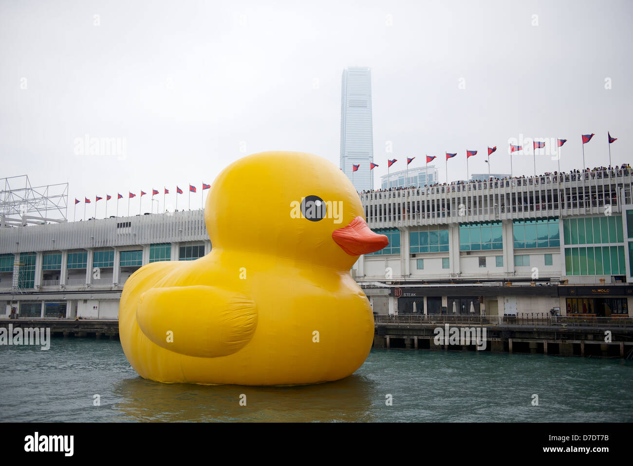 The Rubber Duck Project in Hong Kong Stock Photo - Alamy