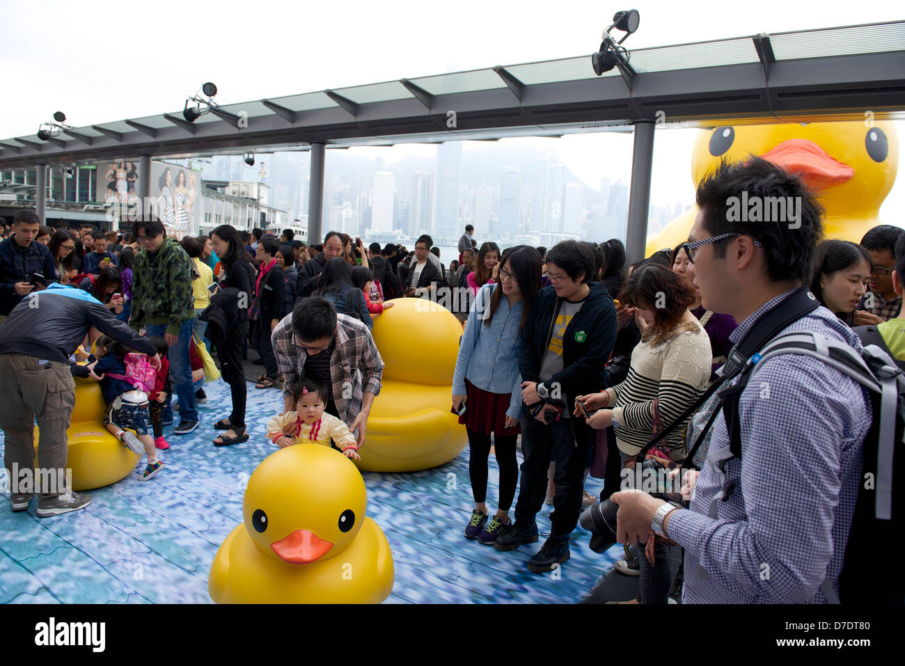 The Rubber Duck Project in Hong Kong Stock Photo - Alamy