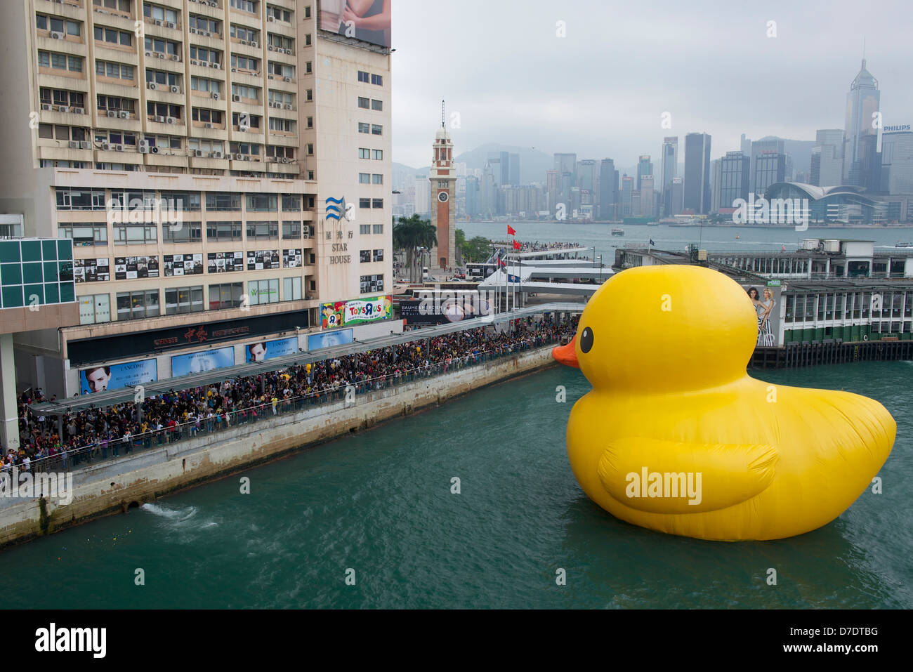 The Rubber Duck Project in Hong Kong. Created by FLORENTIJN HOFMAN. The ...