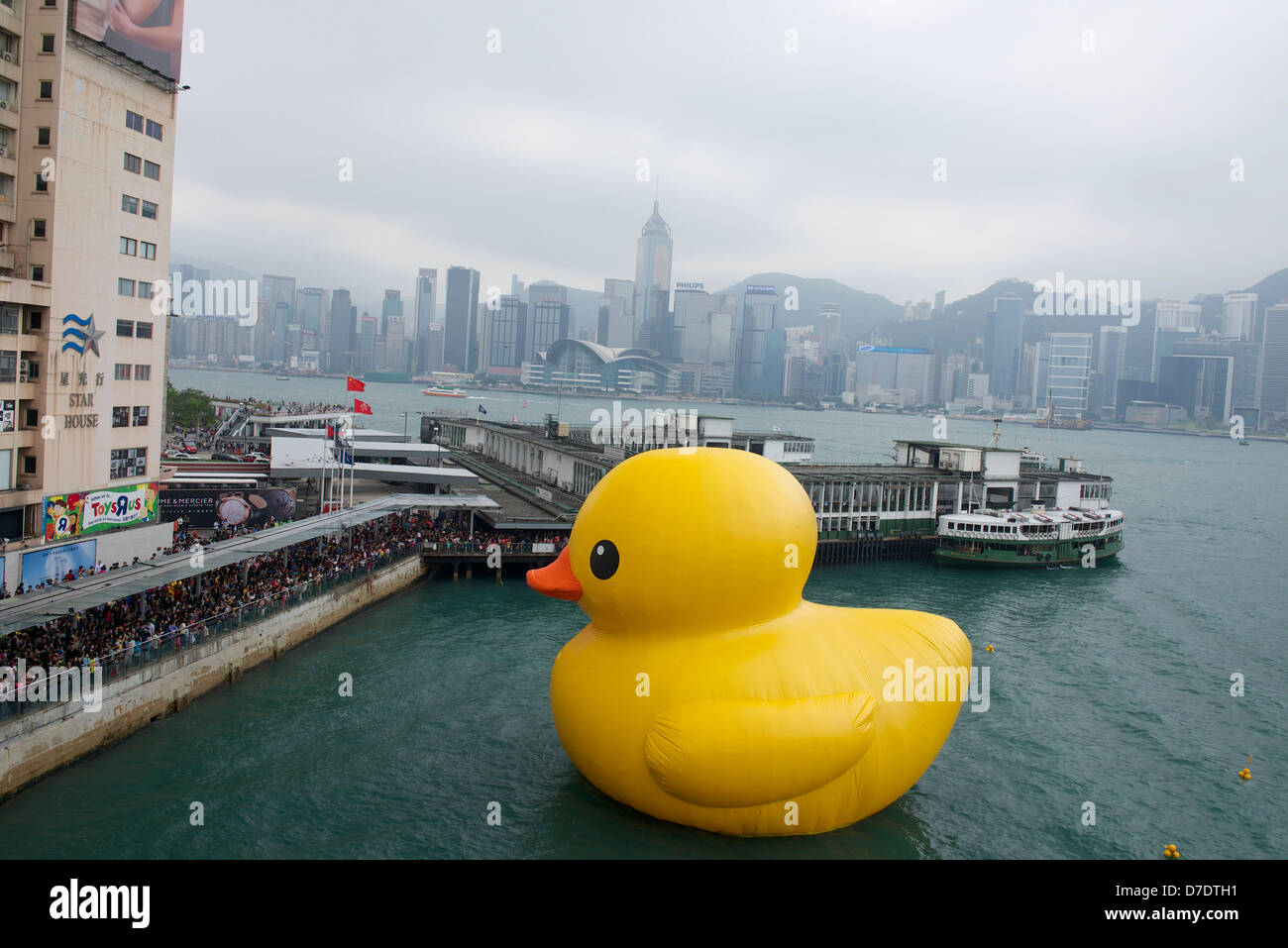 The Rubber Duck Project in Hong Kong Stock Photo - Alamy
