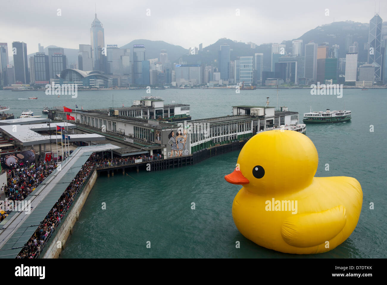 The Rubber Duck Project in Hong Kong Stock Photo - Alamy
