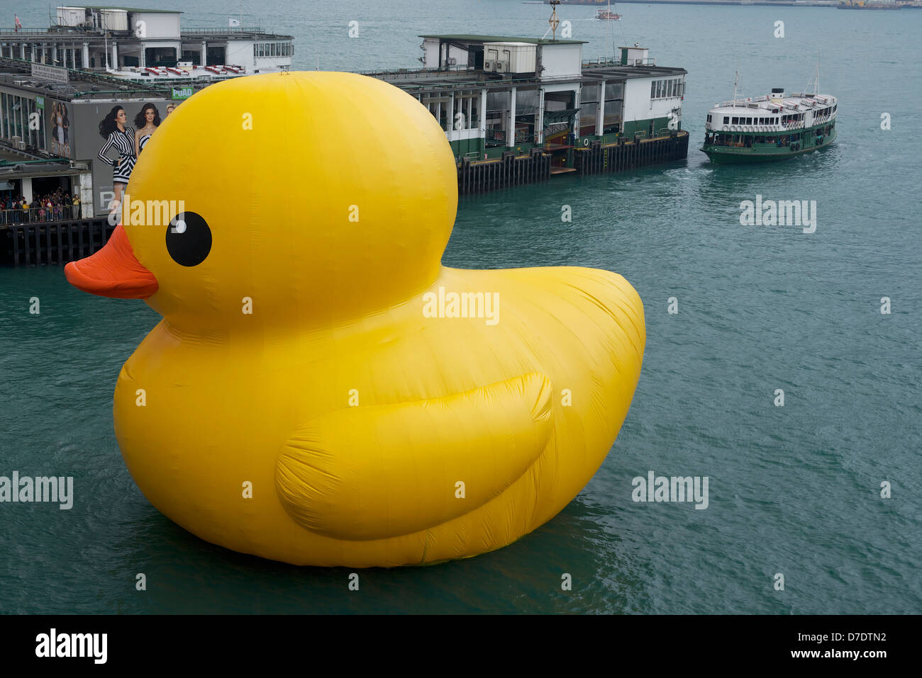The Rubber Duck Project in Hong Kong. Created by FLORENTIJN HOFMAN. The ...