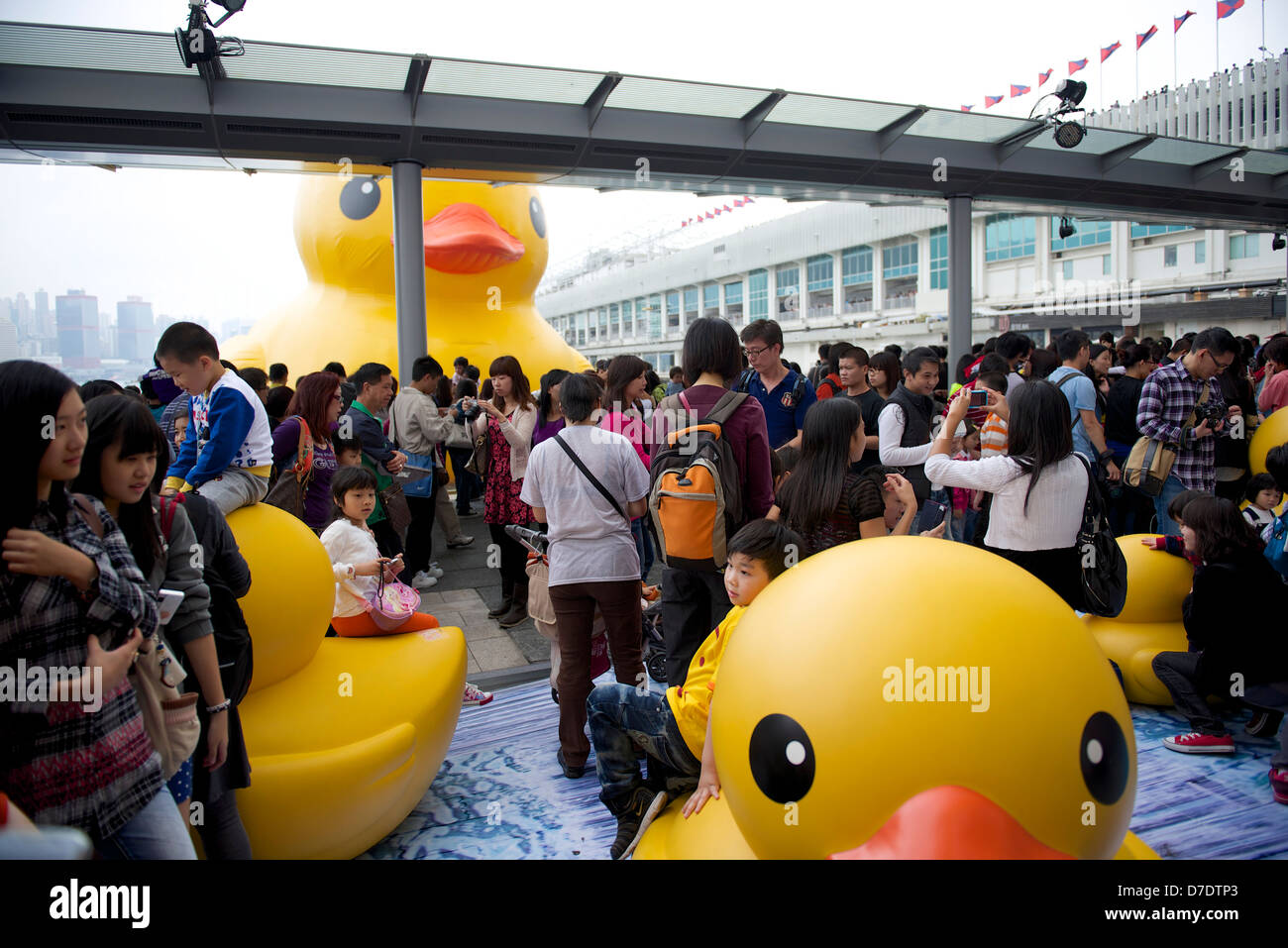 The Rubber Duck Project in Hong Kong Stock Photo - Alamy